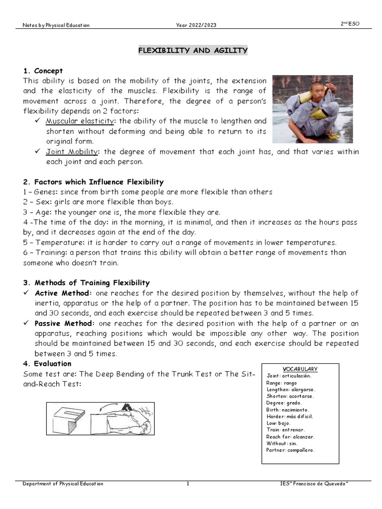 Flexibility and Agility | PDF | Flexibility (Anatomy) | Skeletal Muscle
