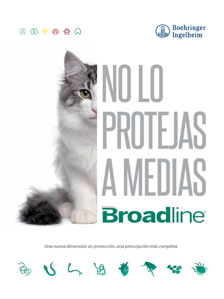 Brochure Broadline | PDF
