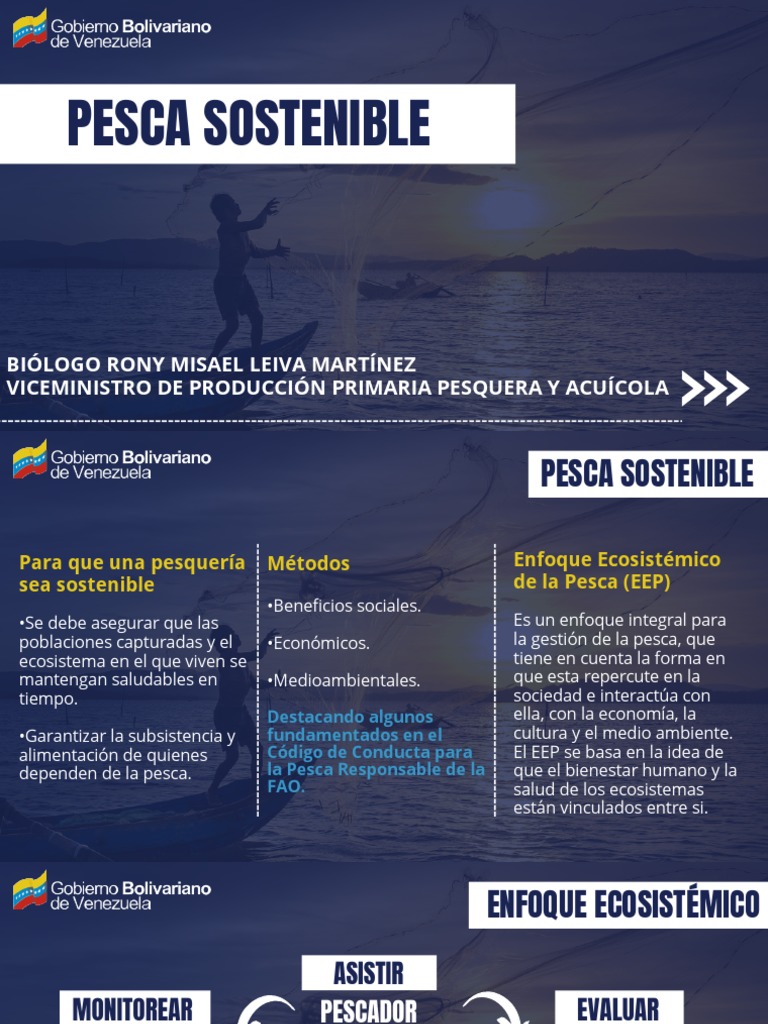 Presentación Pesca Sostenible | PDF | Sustentabilidad | Pesquería
