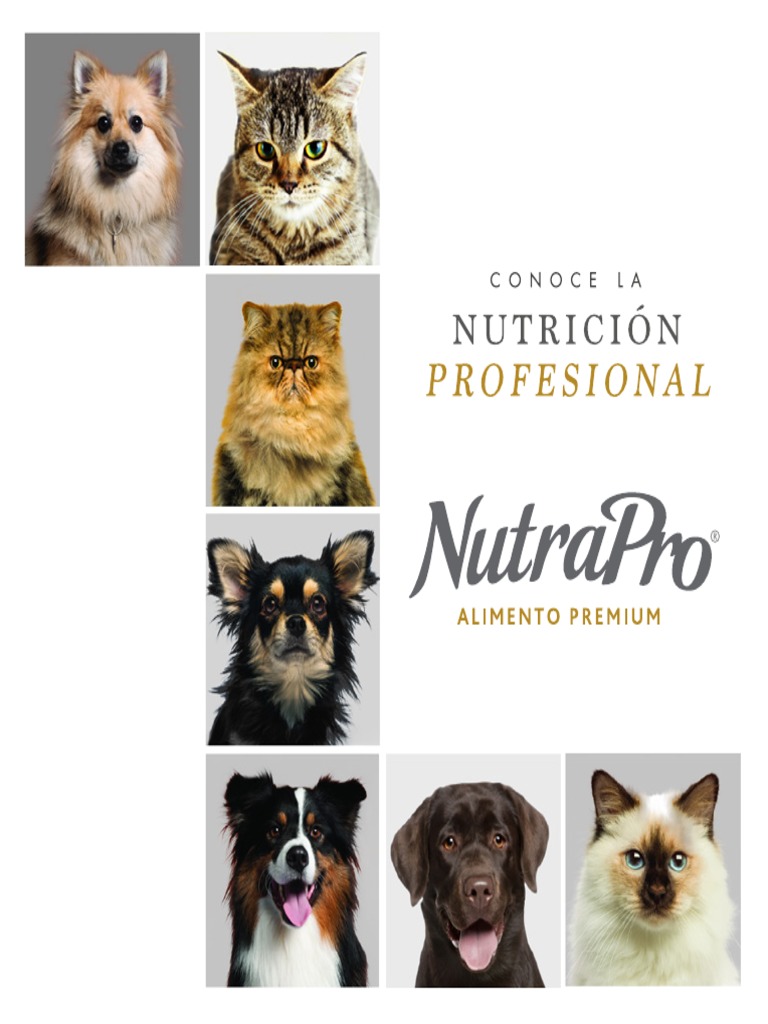 Nutra Pro catálogo 2022 | PDF