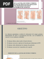 Presentaciones y posiciones fetales | PDF | Parto | Anatomía