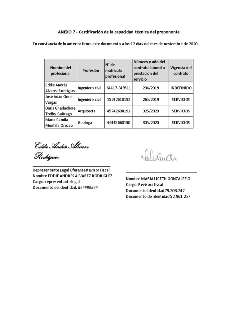 ANEXO 7 - Certificación de La Capacidad Técnica Del Proponente | PDF