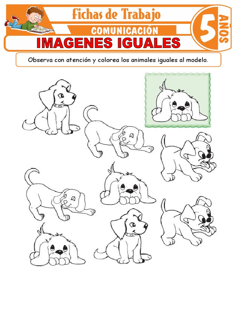 Imagenes Iguales para Ninos de 5 Anos | PDF