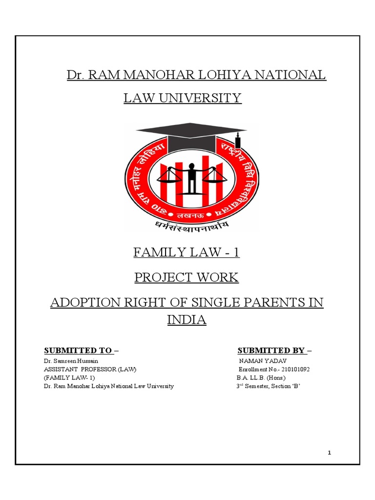 Family Law Project | PDF | Legal Guardian | Adoption