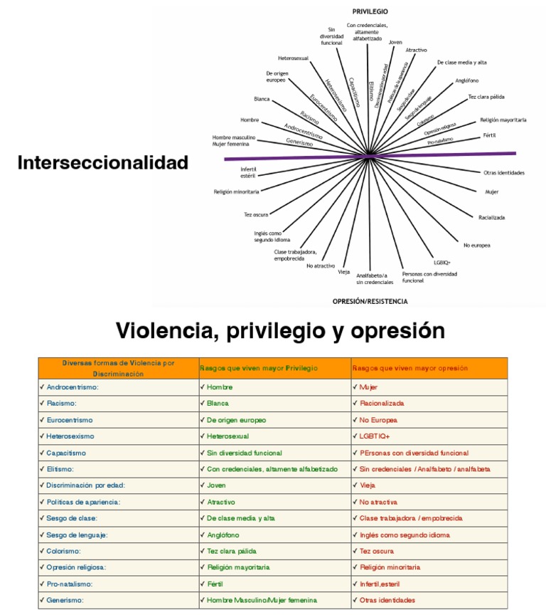 Interseccionalidad | PDF