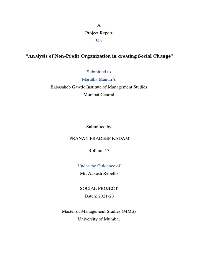 Nonprofit Social Change Analysis | PDF | Career & Growth | Finance ...