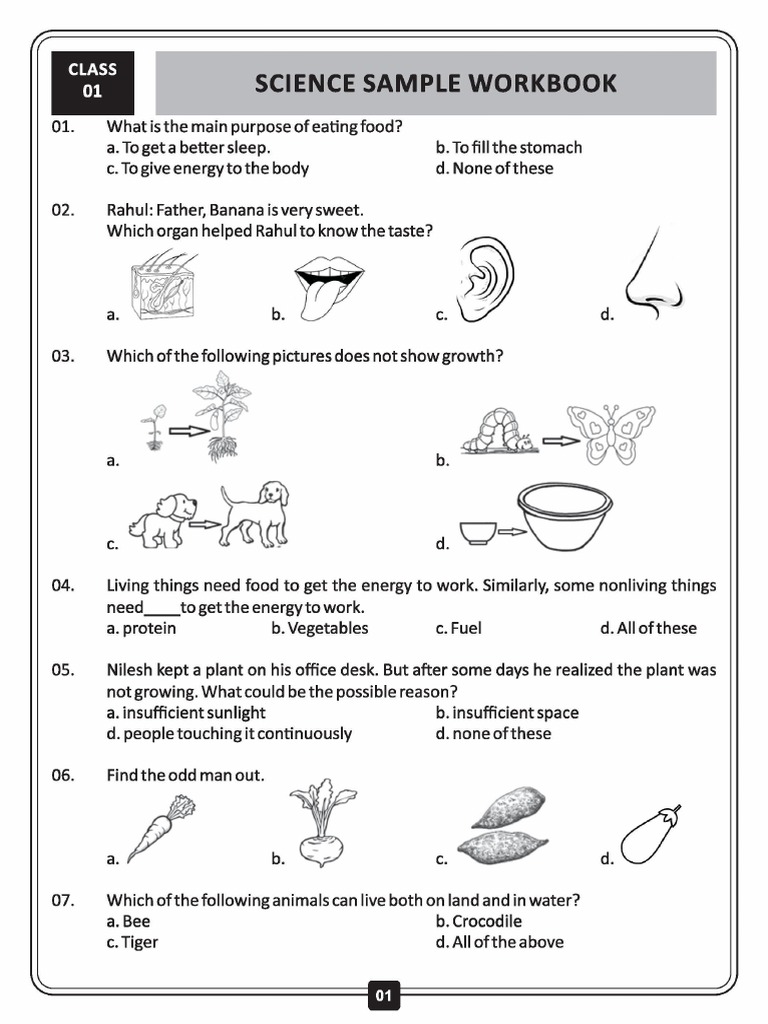Science Class 1 WB | PDF