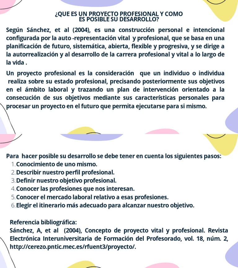 Proyecto Profesional | PDF