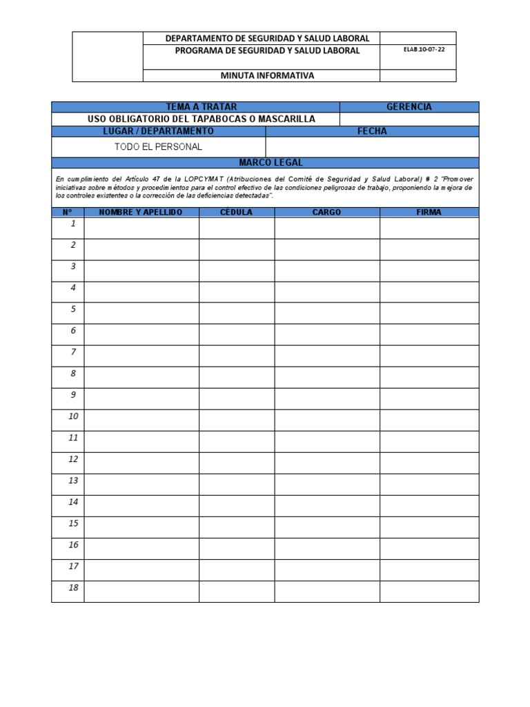 FORMATO MINUTA | PDF