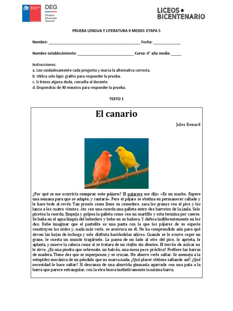 El Canario | PDF | America latina | Sociedad