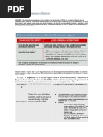 Carta de Terminos y Condiciones NPIE | PDF