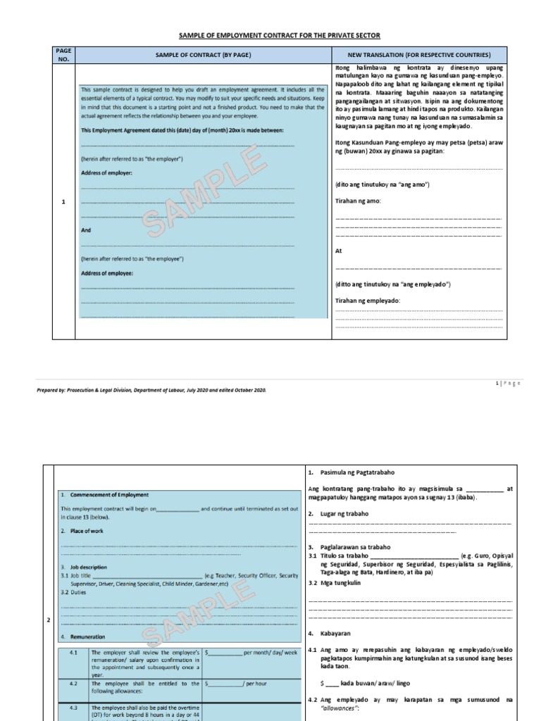 Sample of Employment Contract For The Private Sector | PDF