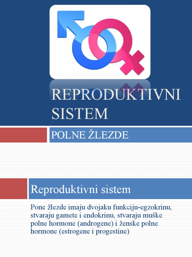 Reproduktivni Sistem: Polne Žlezde | PDF