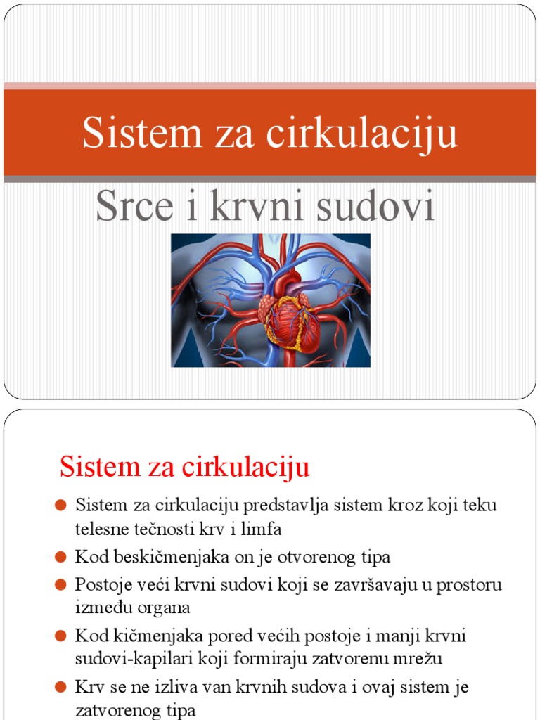 Sistem Za Cirkulaciju: Srce I Krvni Sudovi | PDF