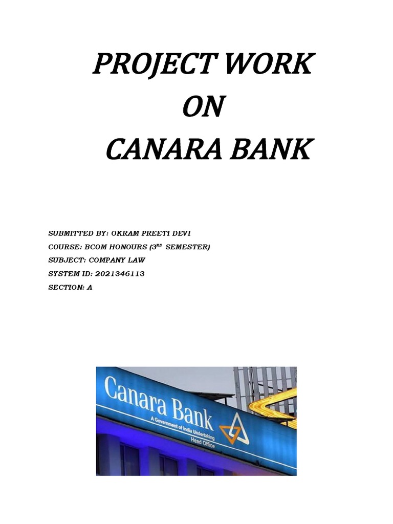 Project Work Pdf Economies Business