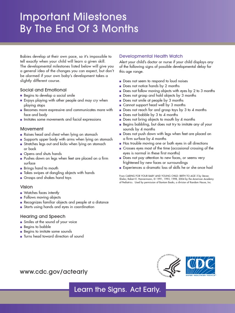 Key Developmental Milestones at 3 Months | PDF | Wellness | Medical