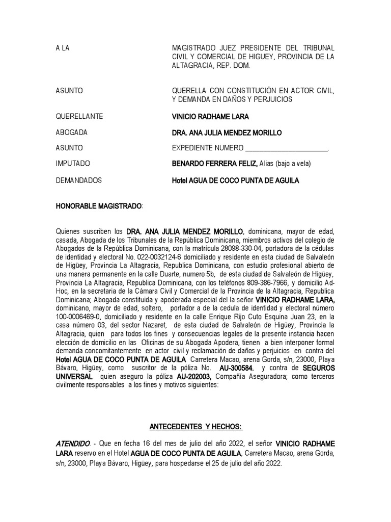 Demanda en Danos y Perjuicio | PDF | Caso de ley | Daños y perjuicios
