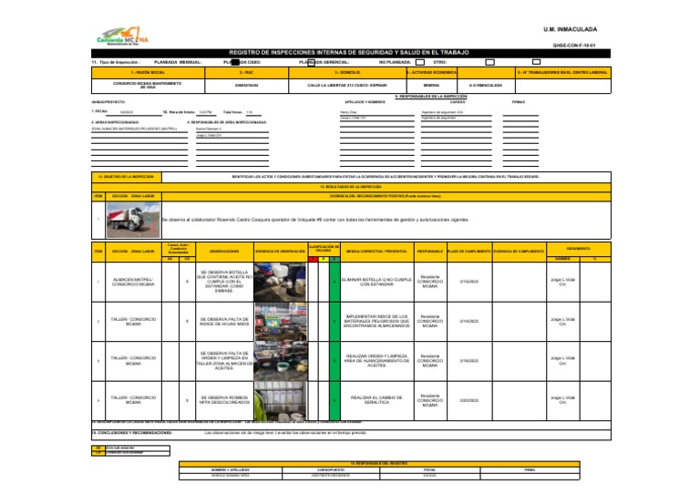 Registro de Inspecciones Internas de Seguridad Y Salud en El Trabajo | PDF