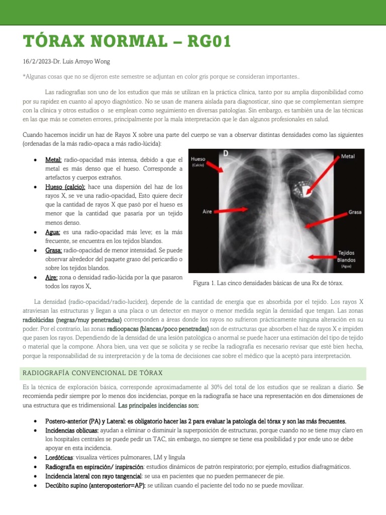Tórax Normal - Rg01 | PDF | Pulmón | Rayo X
