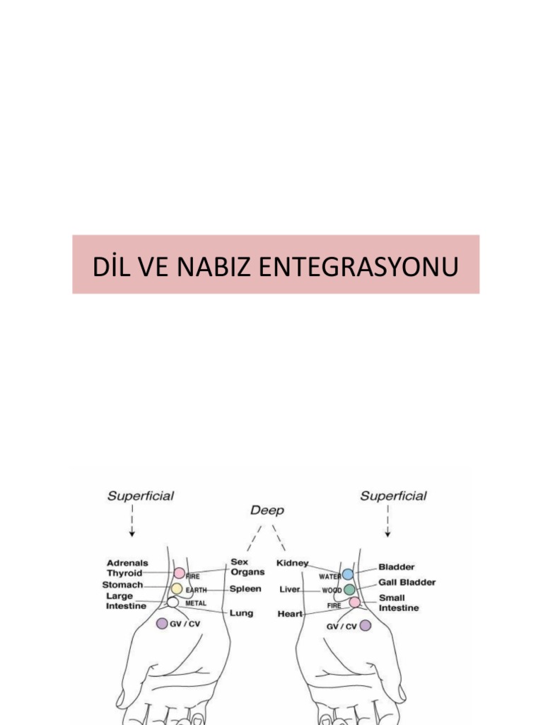 Di̇l Ve Nabiz Entegrasyonu | PDF