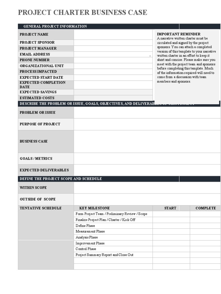 IC Project Charter Business Case 8556 - WORD | PDF | Performance ...