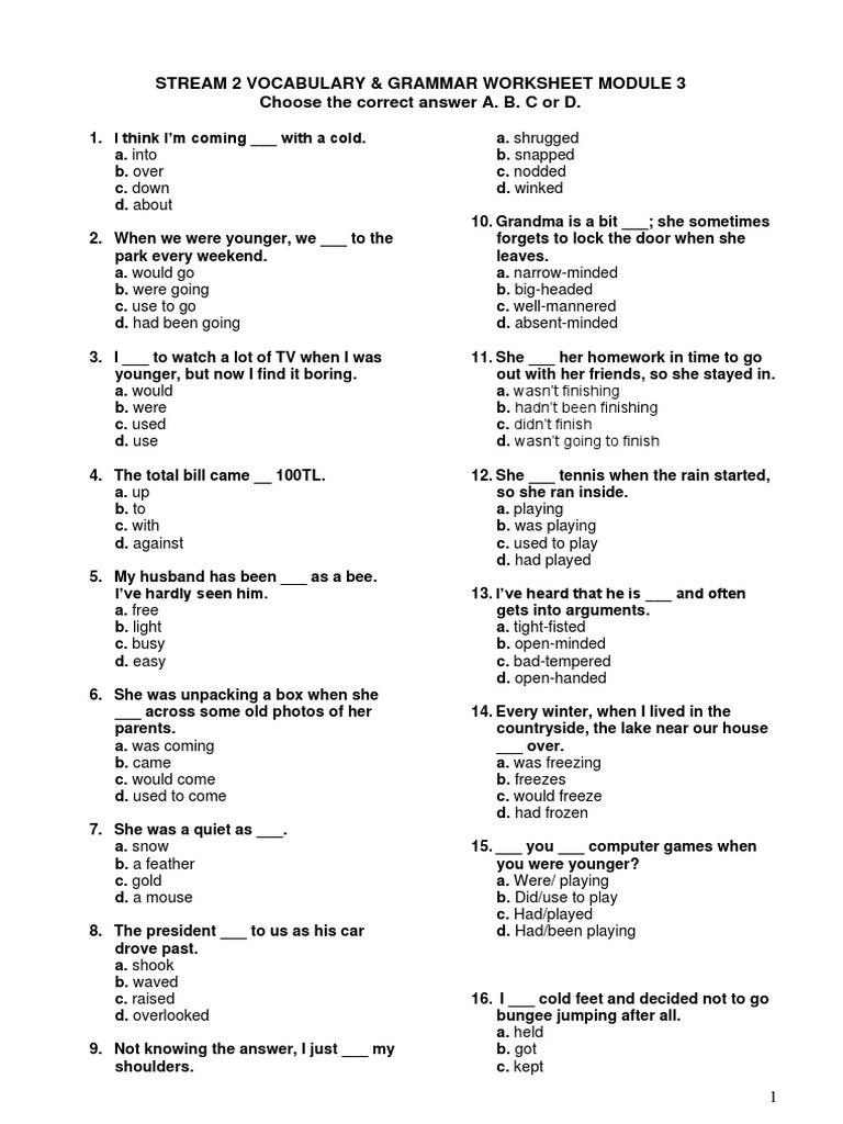 Module 3 - Vocabulary & Grammar | PDF