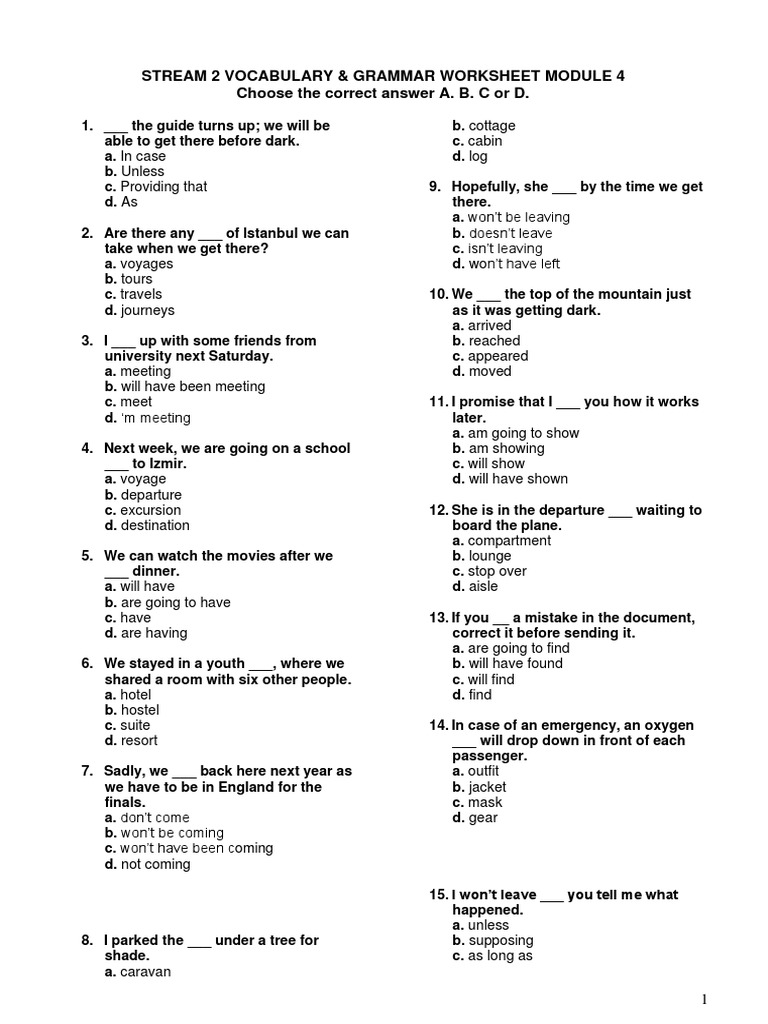 Module 4 - Vocabulary & Grammar | PDF