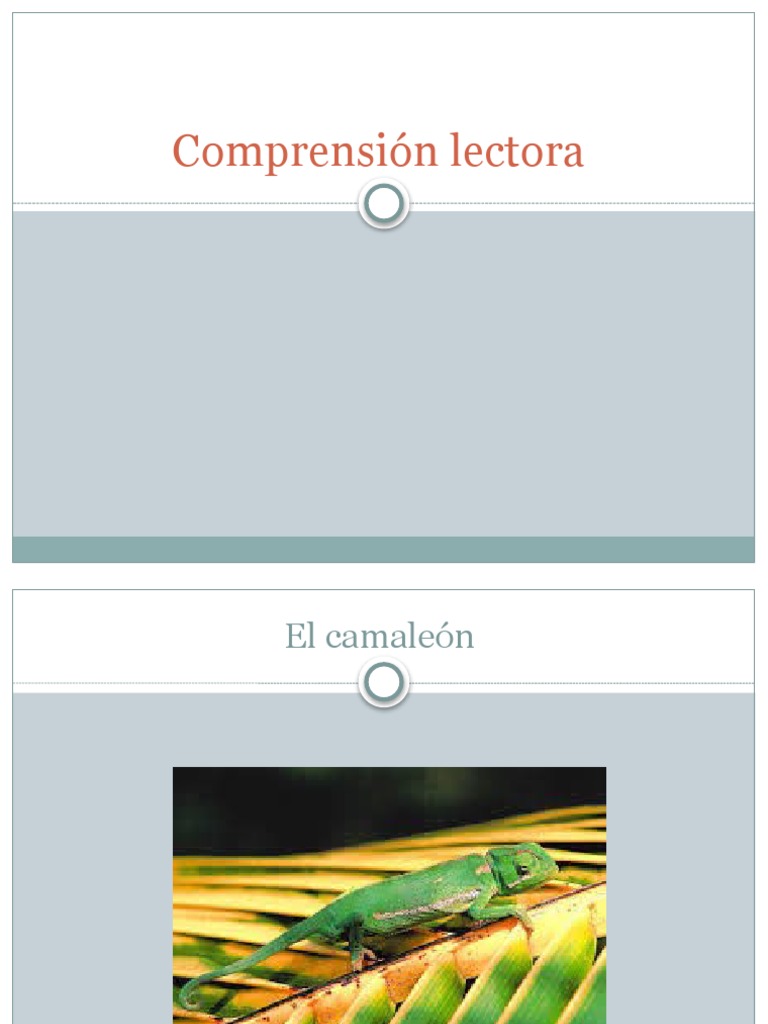 Comprensión Lectora | PDF | Insectos | Hormiga