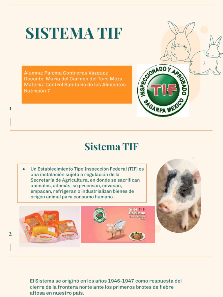 Sistema Tif | PDF | Carne