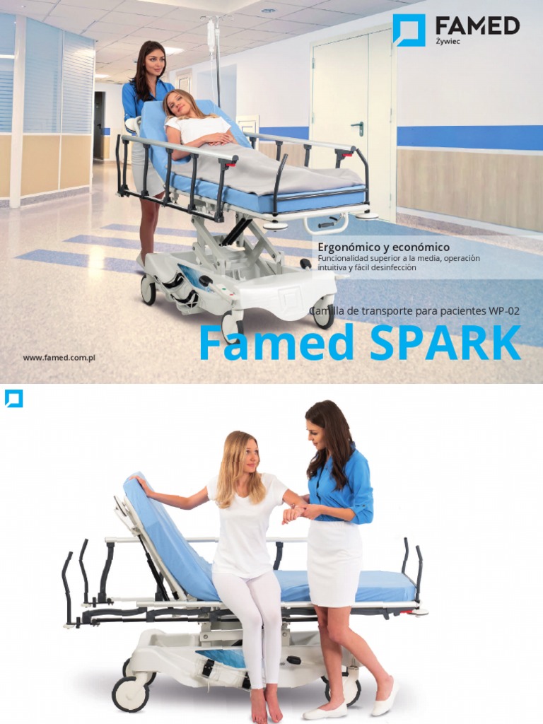 Famed-SPARK-ESP Mail 2092021112-2 | PDF