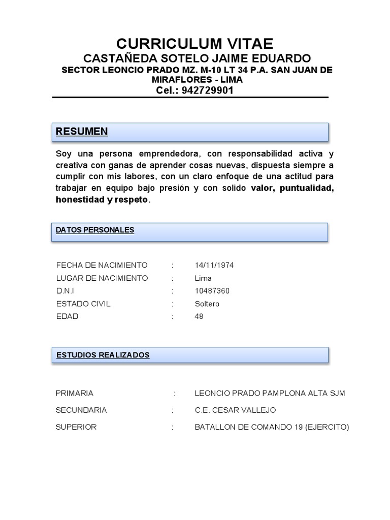 Curriculum Vitae Castañeda Sotelo Jaime Eduardo | PDF