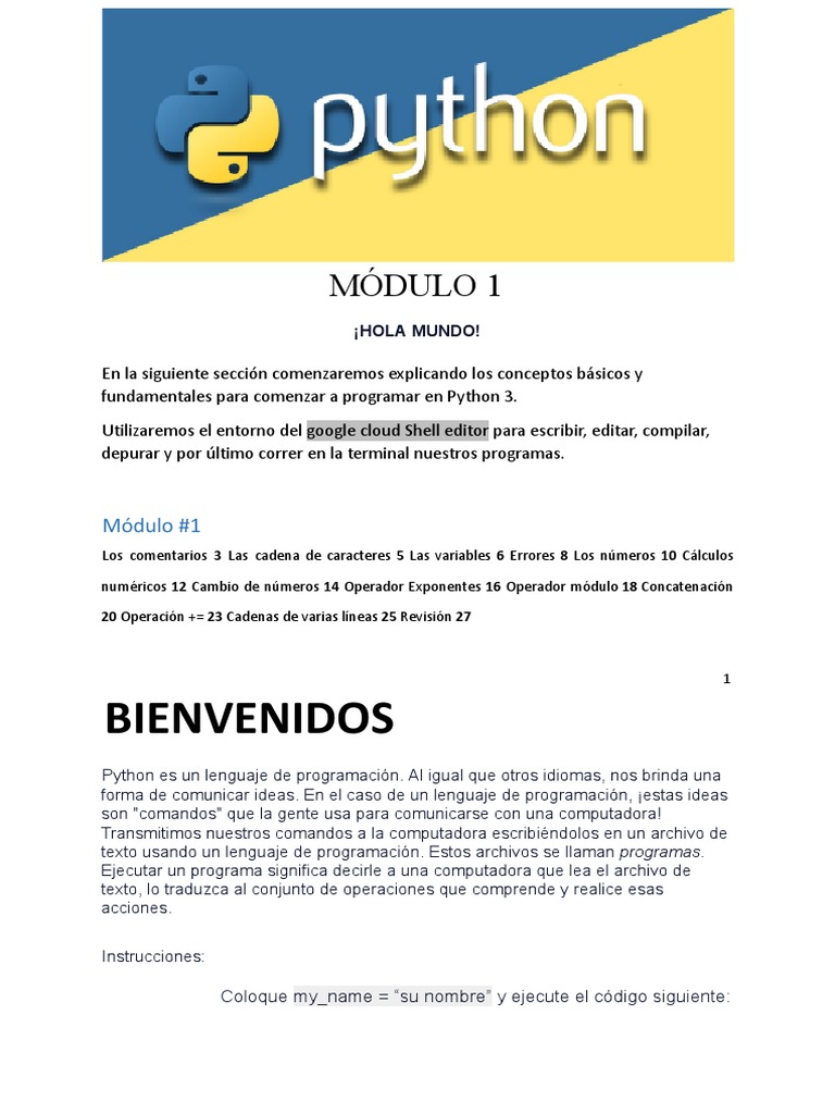 MODULO#1 - 1 Conceptos Basicos | PDF | Programa de computadora | Programación