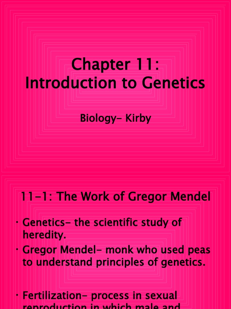 Introduction To Genetics: Biology-Kirby | PDF | Meiosis | Dominance ...