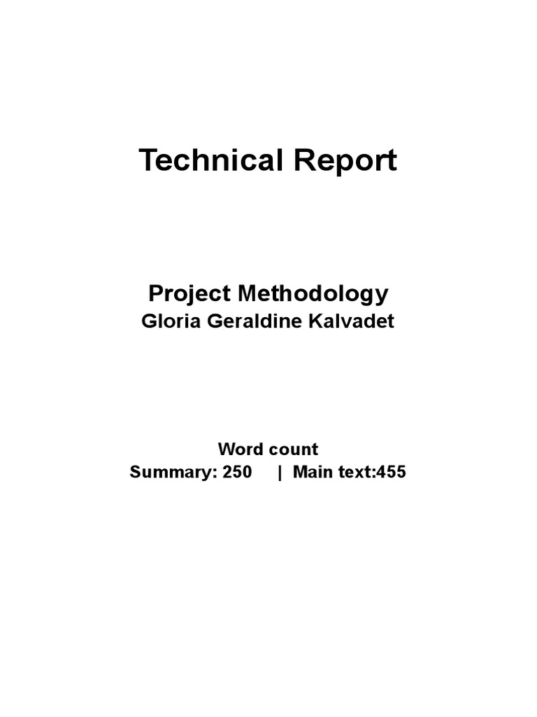 Technical Report: Project Methodology | PDF