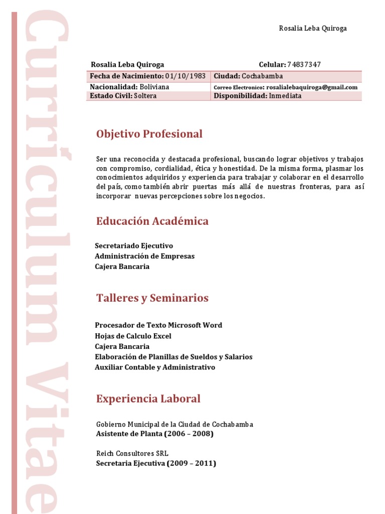 Curriculum Vitae 2023 | PDF | Crecimiento personal y profesional