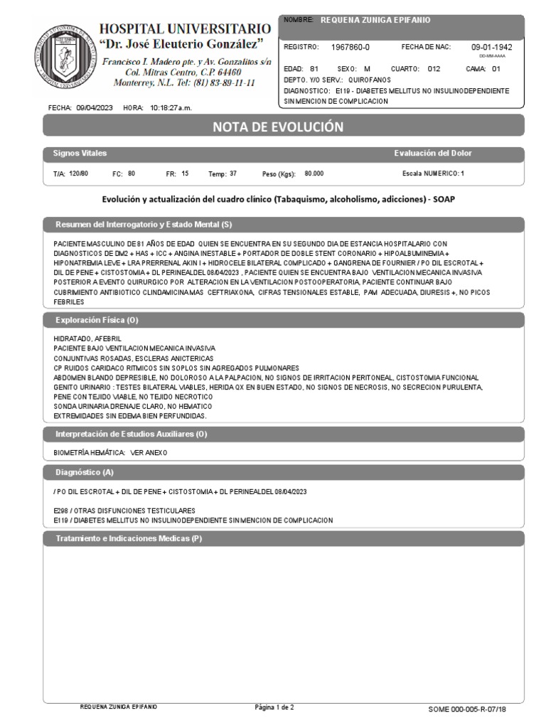 Nota Evolucion Epifano | PDF | Medicina CLINICA | Especialidades Medicas