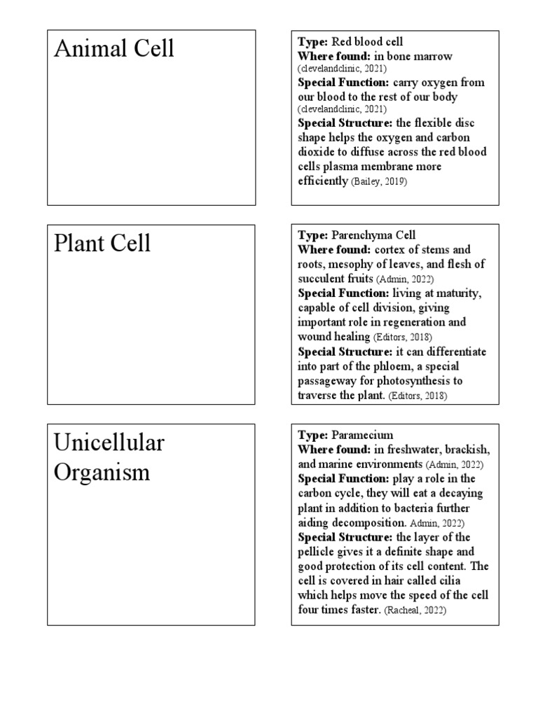 Biology Portfolio | PDF | Bone | Skeleton