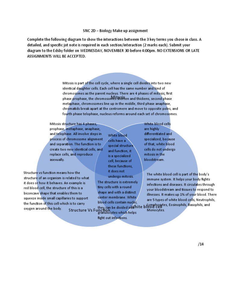 Biology Makeup Assignment | PDF | Mitosis | White Blood Cell