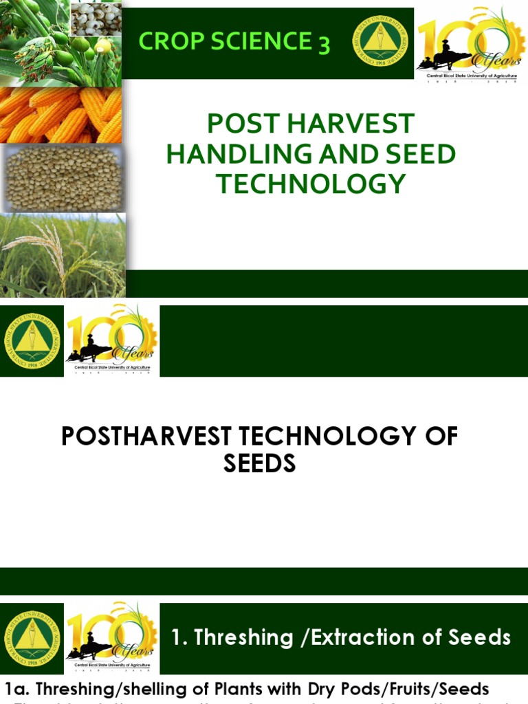 Post-Harvest Seed Handling Techniques | PDF | Seed | Germination