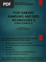 What Is Ratooning | PDF | Agriculture | Horticulture
