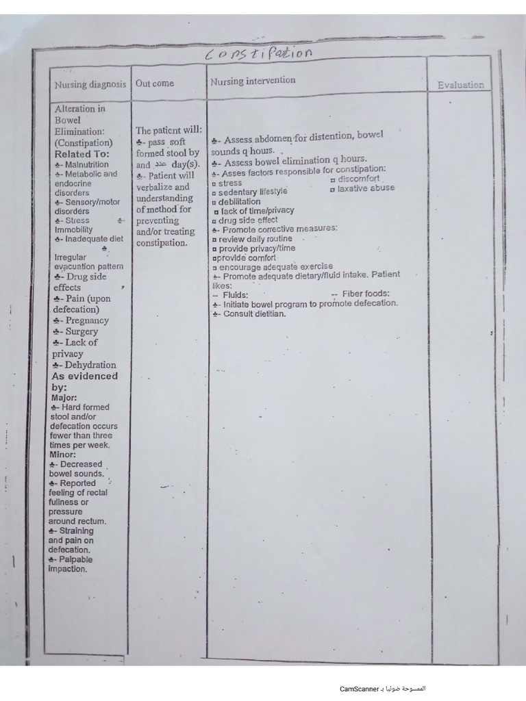 NANDA | PDF