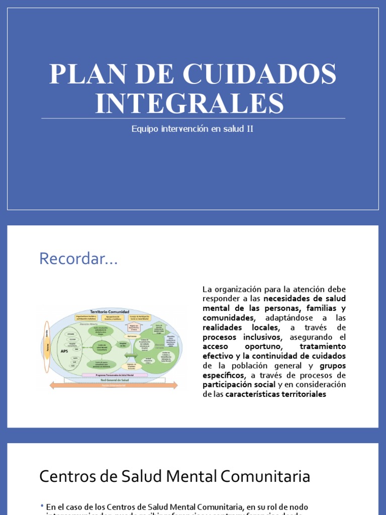 Plan de Cuidados Integrales | PDF