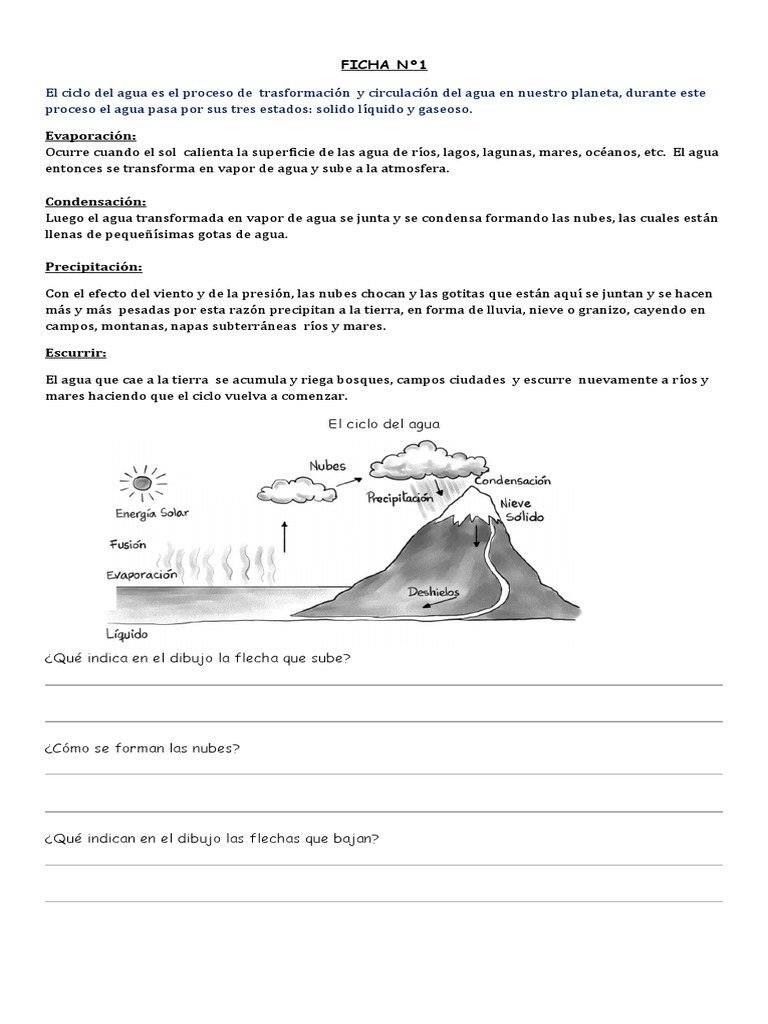 Ficha Ciclo Del Agua | PDF