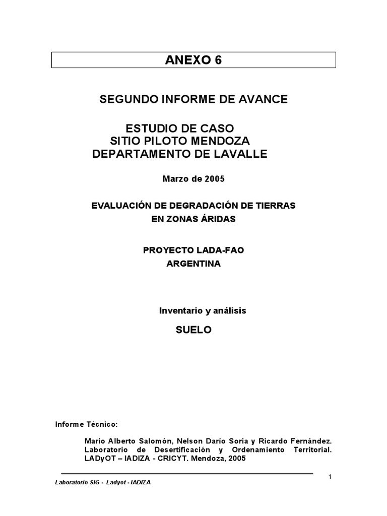 Estudios Sobre Suelos Dpto de Lavalle, Mendoza, Argentina | PDF | Sistema de información ...