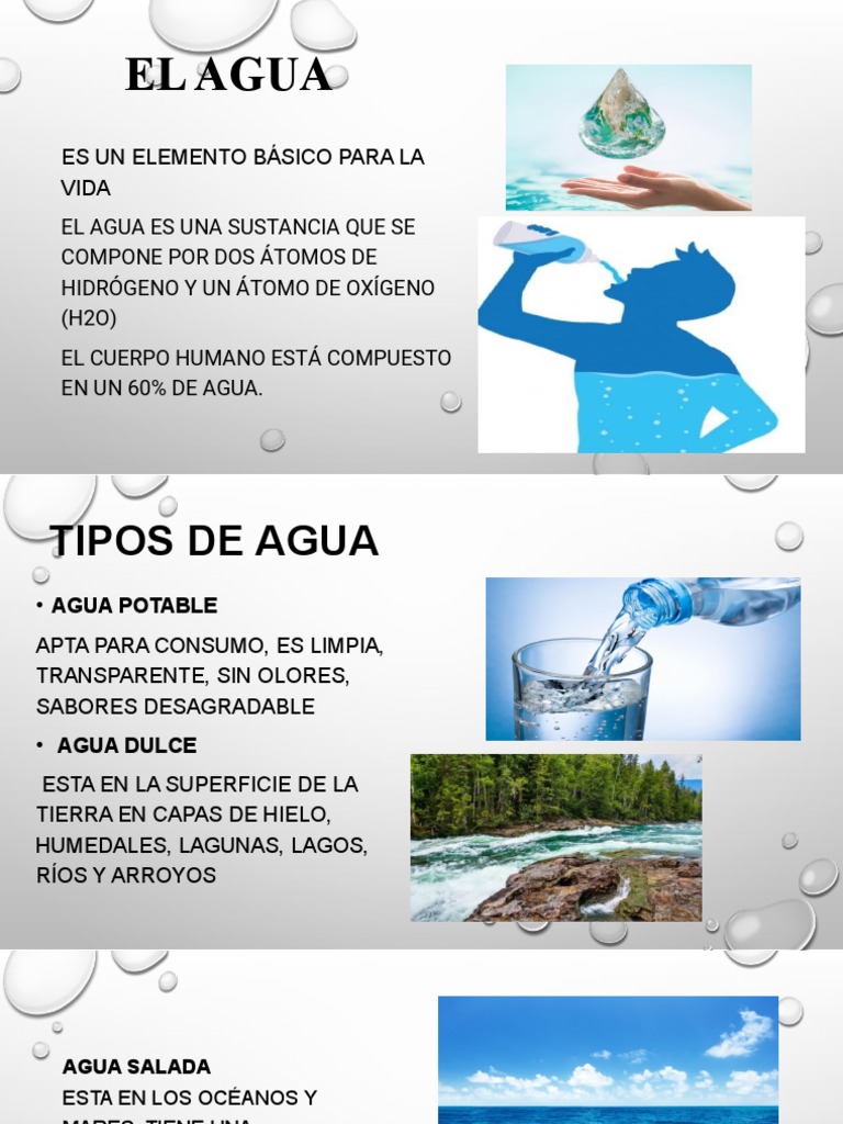 Tipos de Agua y sus Características | PDF | Cocina, comidas y vino