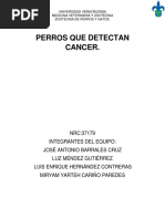 Morfología del perro: Graioides y Occipucio | PDF | Diente | Pastor alemán