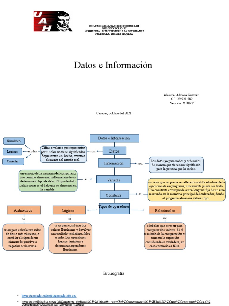 Datos e Informacion | PDF | Tipo de datos | Variable (informática)