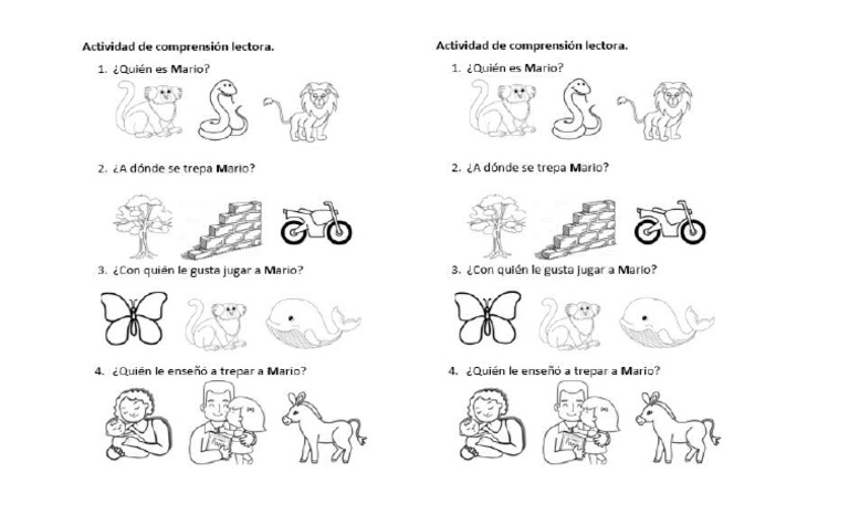 Actividad de Comprensión Lectora, Mario El Mono Maravilloso. | PDF