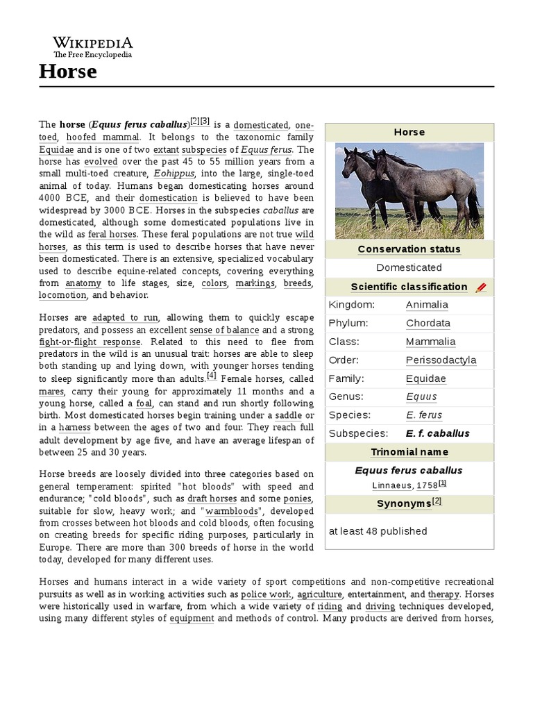 Horse | PDF | Horses | Horse Gait