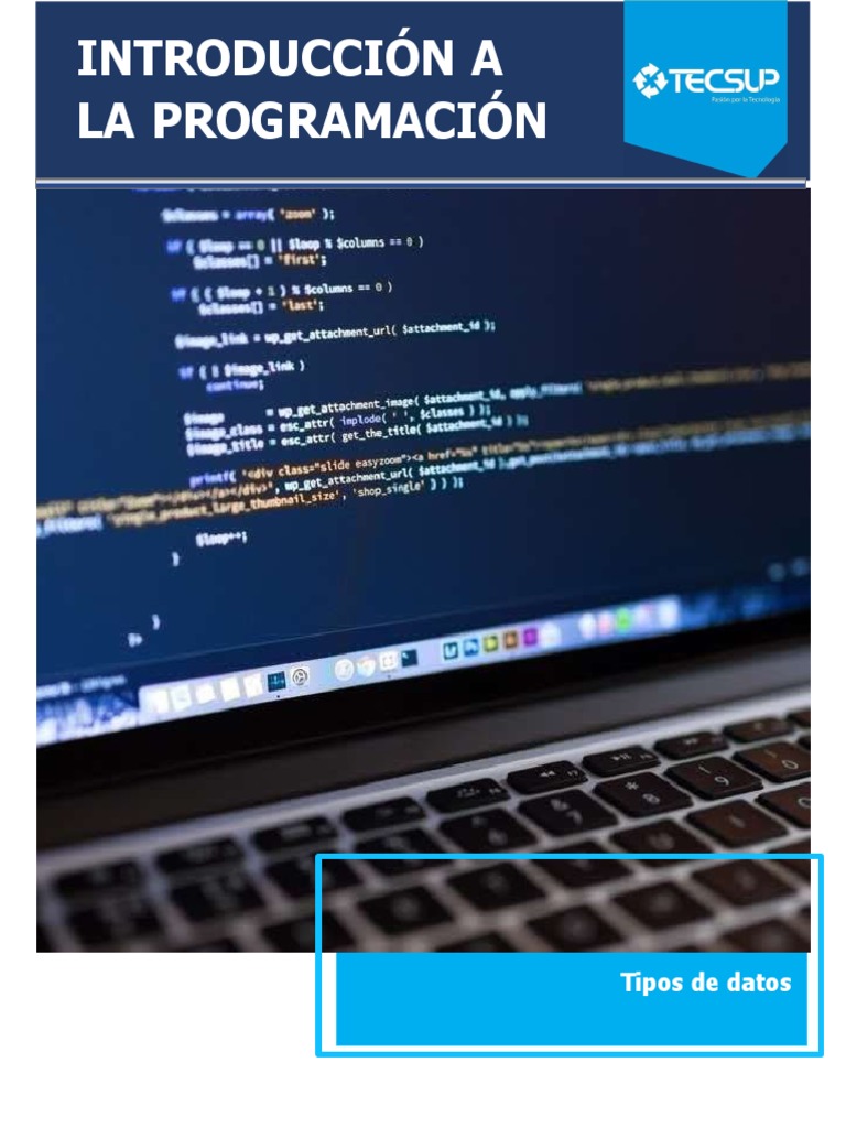 Laboratorio03 Tipos de Datos | PDF | Tipo de datos | Python (lenguaje ...